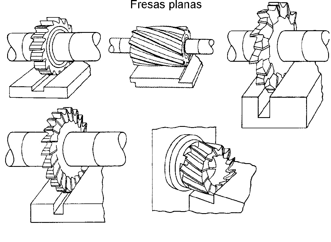 Tipos de fresas :: Mateus Aires